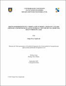 Diseño sismorresistente y modelación numérica mediante análisis CBFEM ...